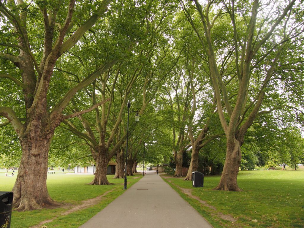 Jesus Green | Capturing Cambridge